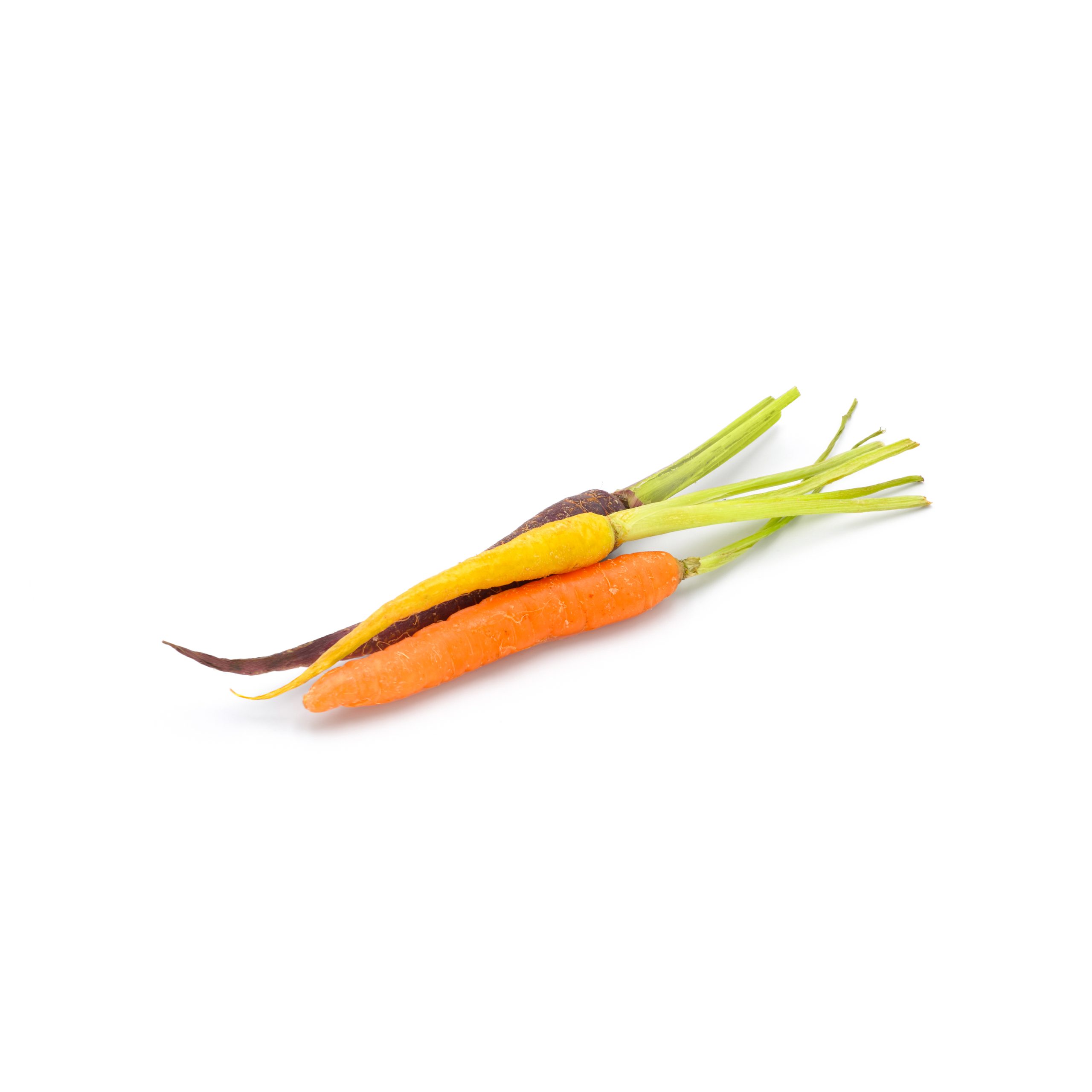 Baby Carrots – Mixed Rainbow – MALKIA Gourmet Harvest: Excellence in ...