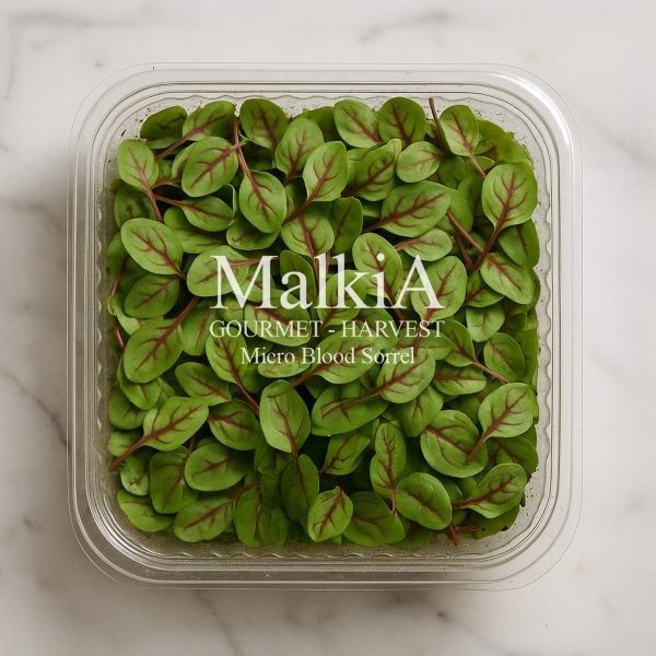 Micro Blood Sorrel – MALKIA Gourmet Harvest: Excellence in Baby ...