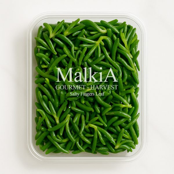 Edible Leaves – MALKIA Gourmet Harvest: Excellence in Baby Vegetables ...